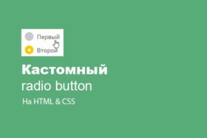 Создаем кастомные радио кнопки (radio button) на CSS и HTML - Zalki-Lab